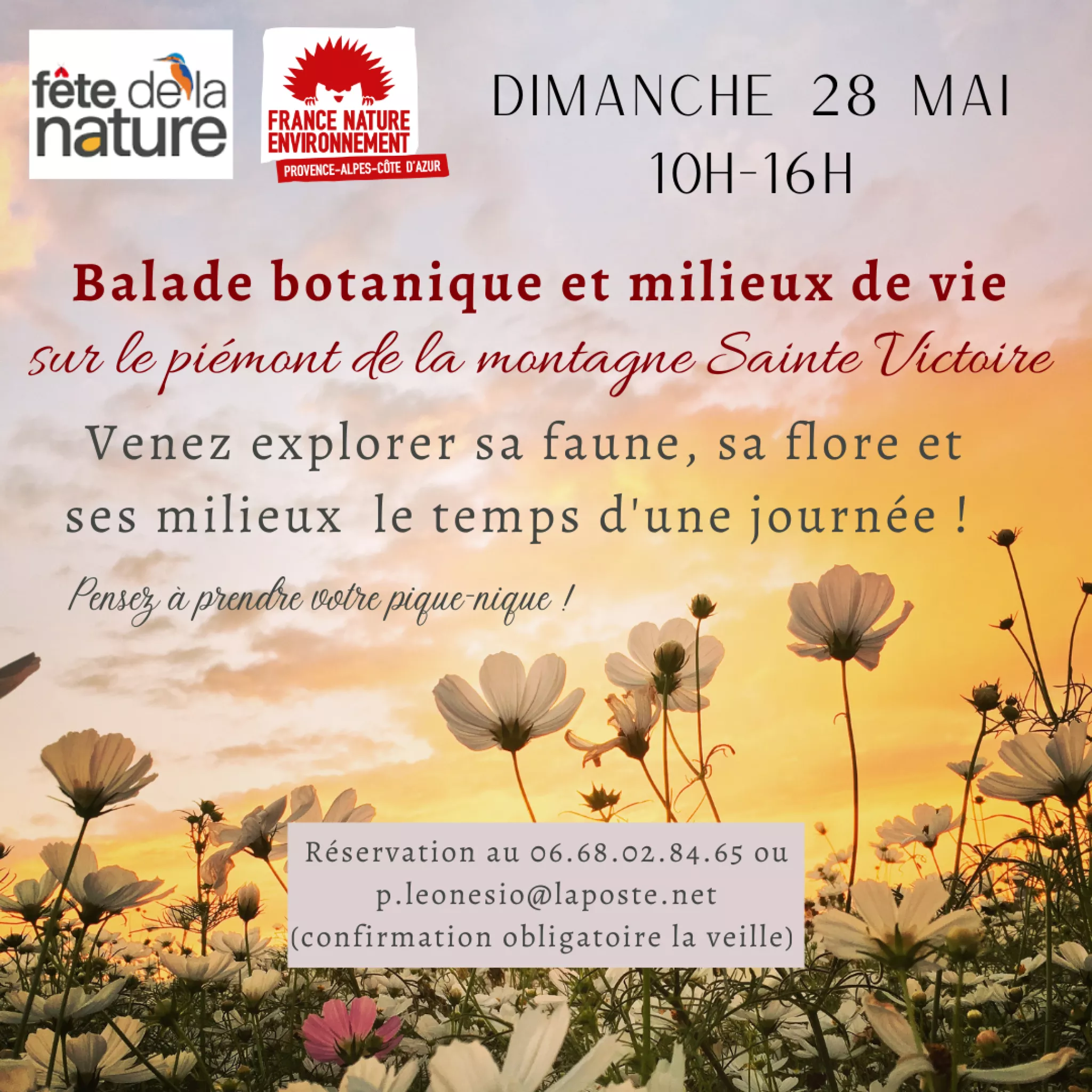 Fête de la Nature le 28.05 : balade botanique | FNE PACA